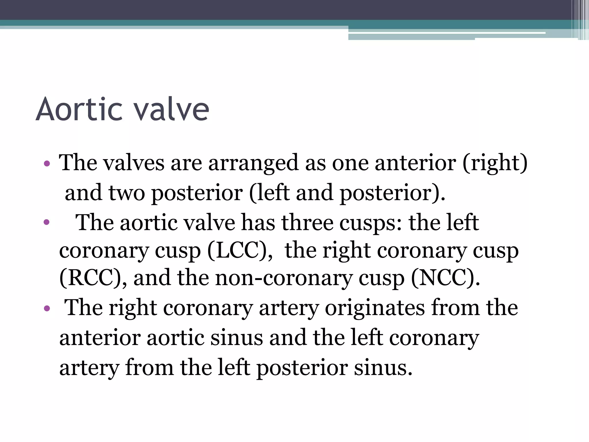 ANATOMY OF HEART.pptx