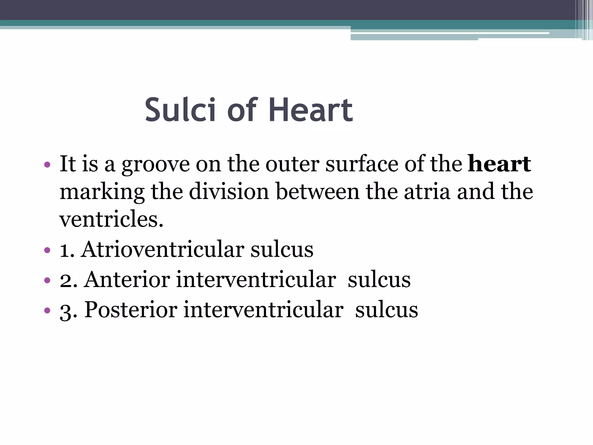 ANATOMY OF HEART.pptx