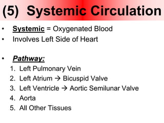 ANATOMY OF HEART.ppt