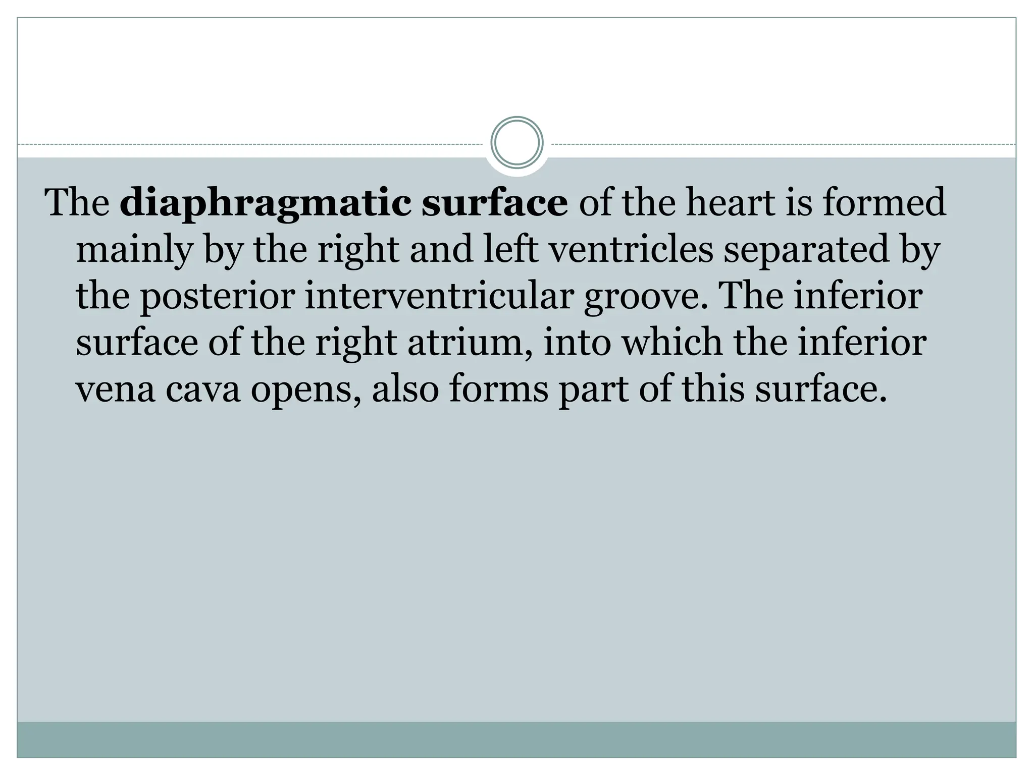 anatomy of heart.pptx