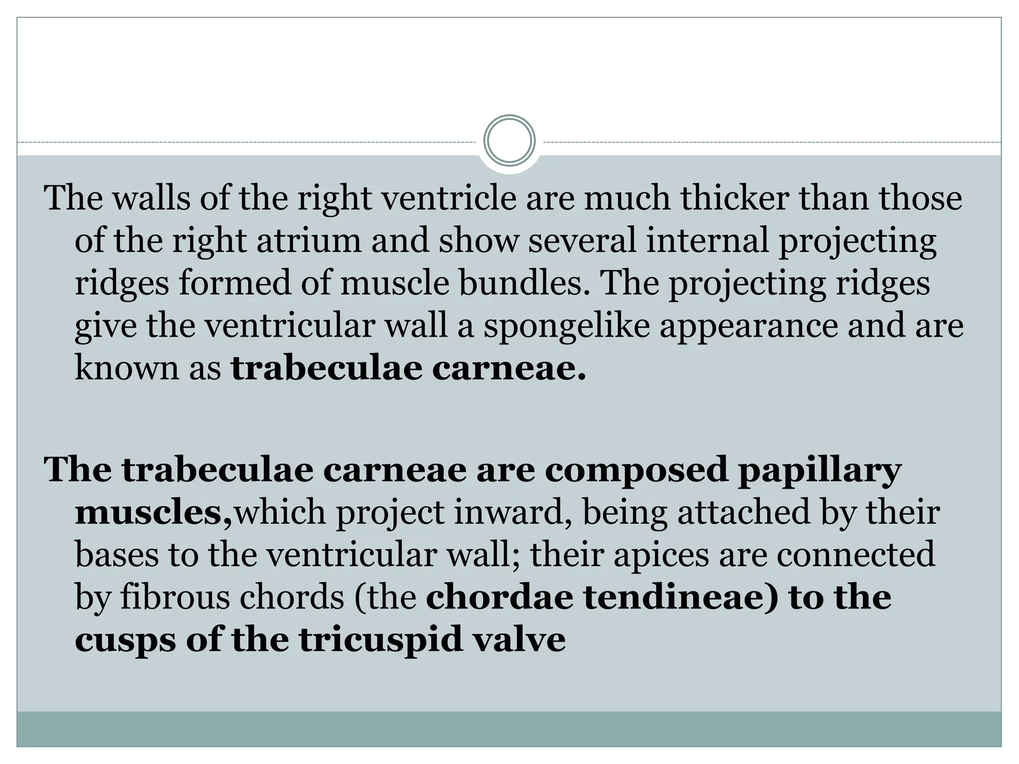 anatomy of heart.pptx