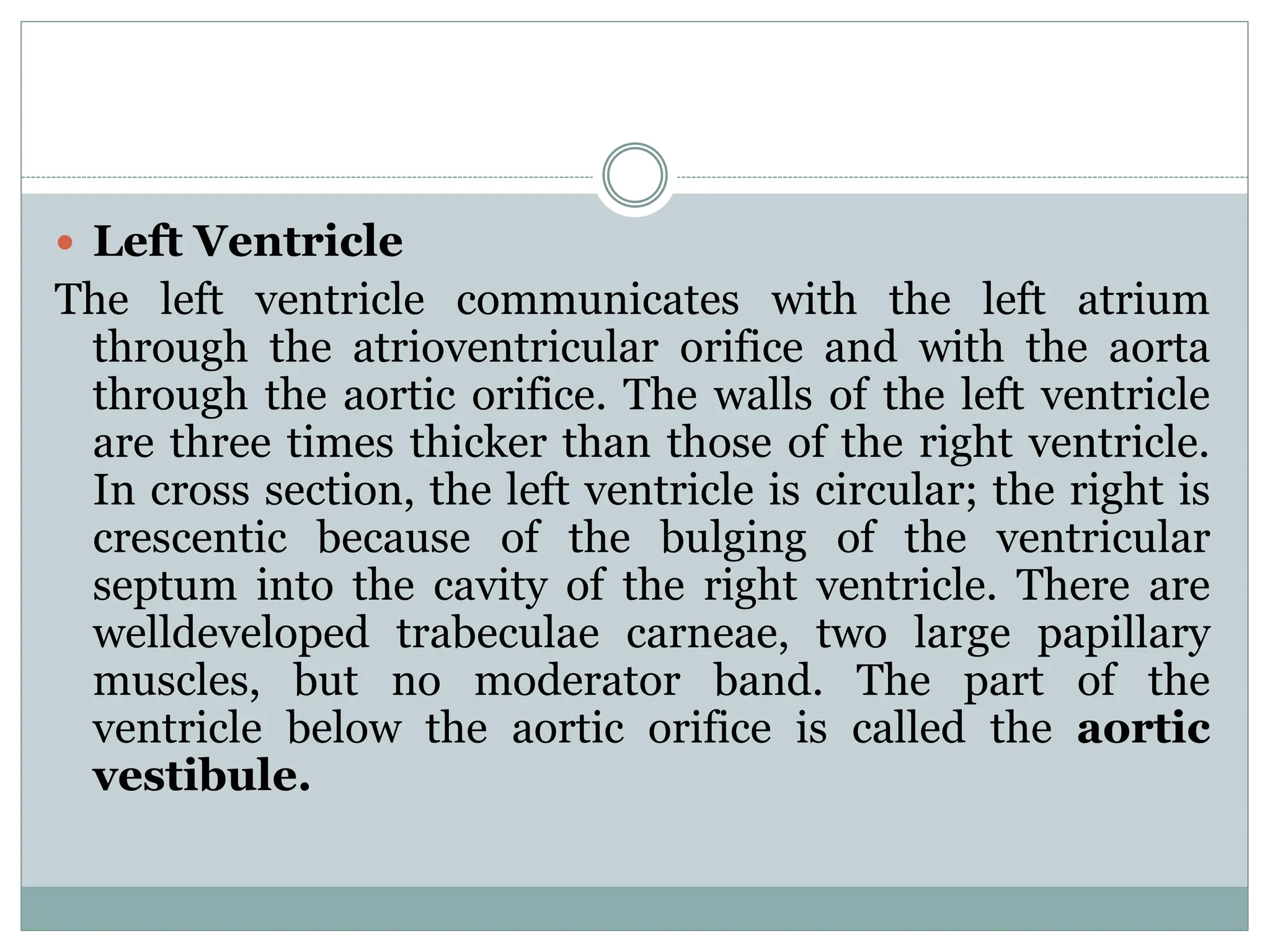 anatomy of heart.pptx