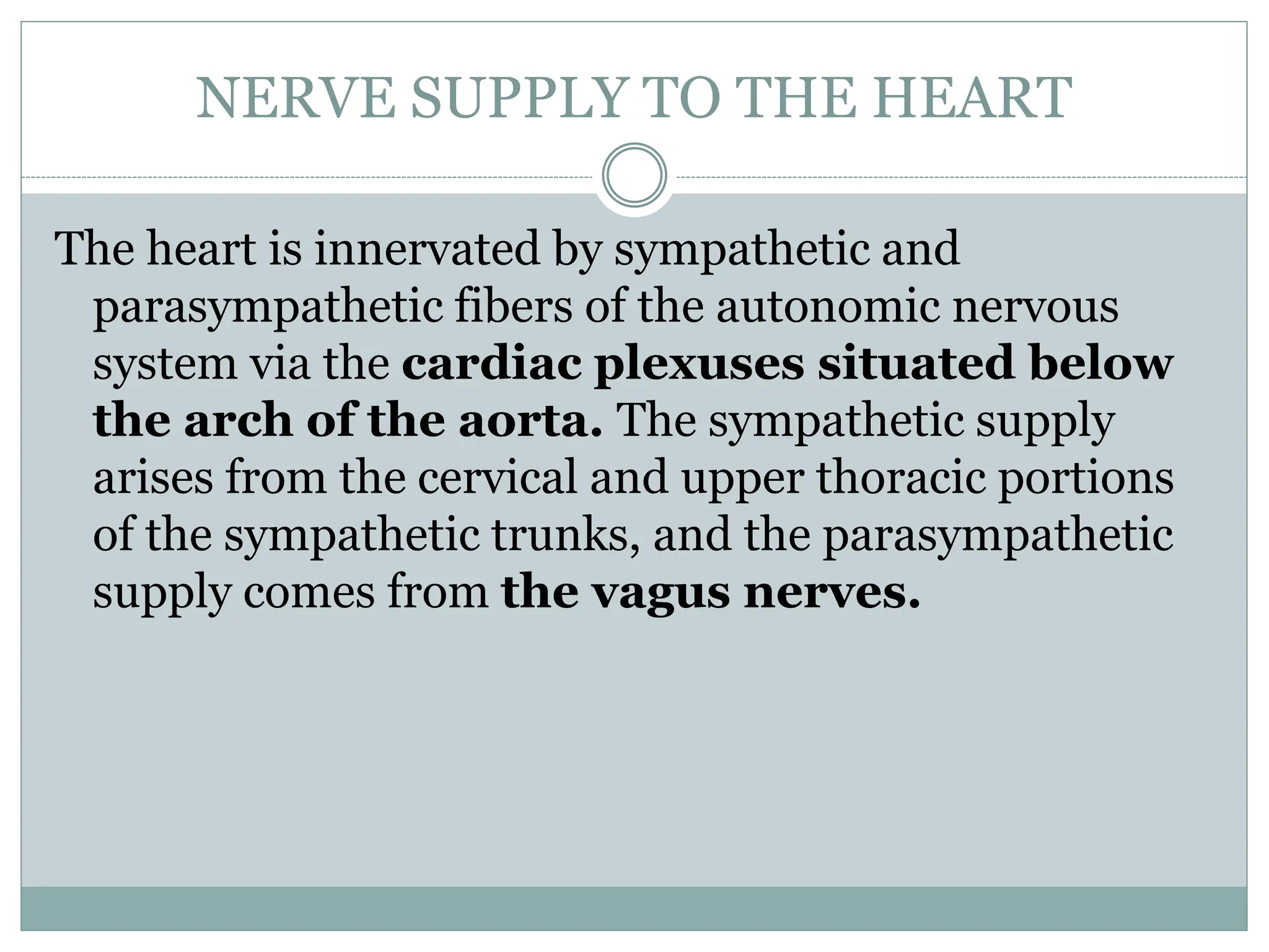 anatomy of heart.pptx