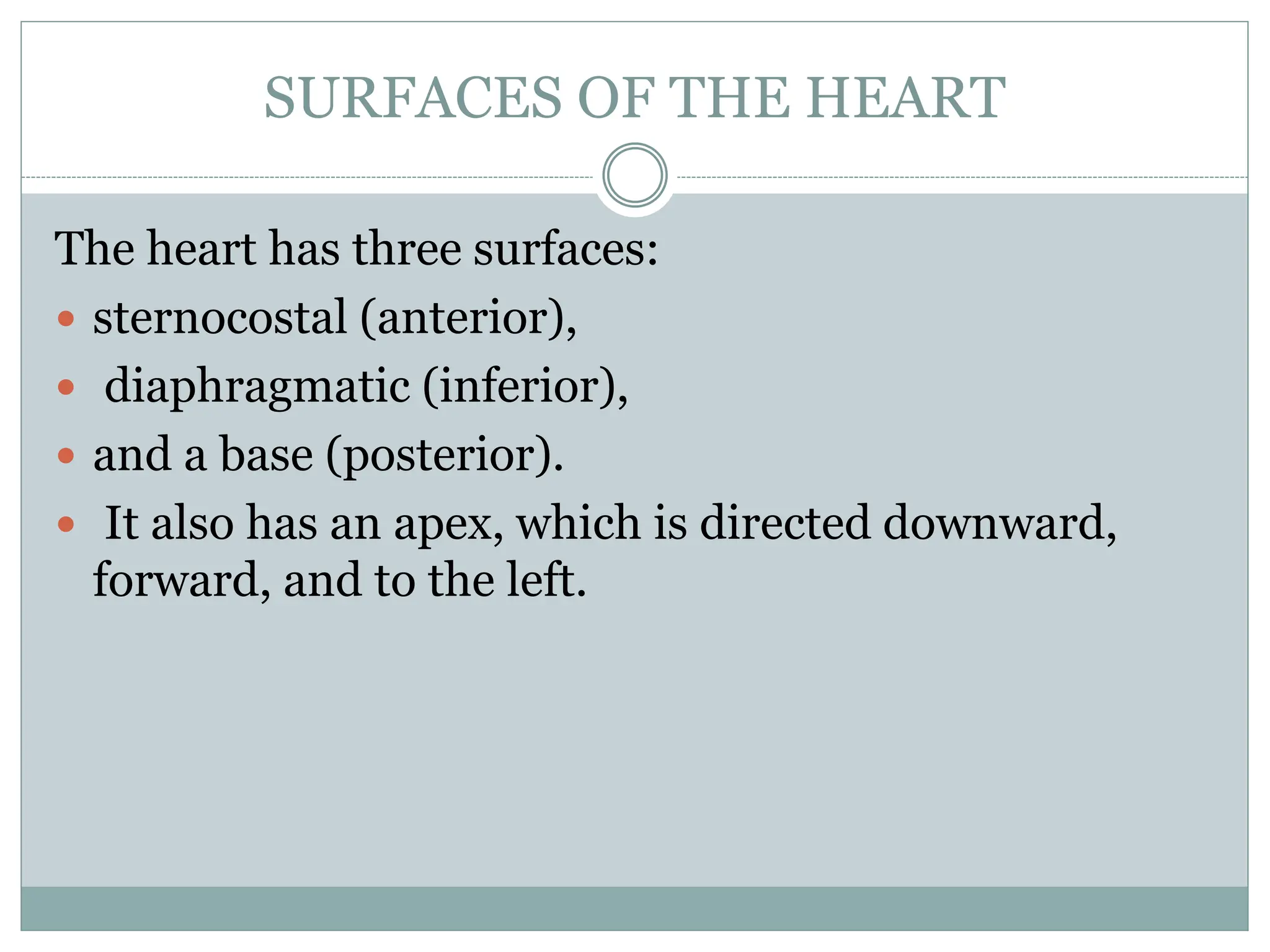 anatomy of heart.pptx