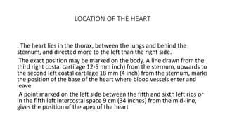 ANATOMY OF HEART.reagarding the riagt and left ventricle | PDF