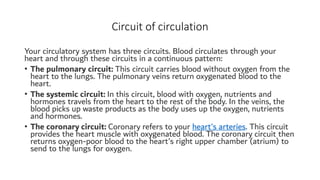 ANATOMY OF HEART.reagarding the riagt and left ventricle | PDF