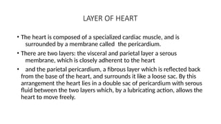 ANATOMY OF HEART BY DR. SADAKAT BASHIR.pptx
