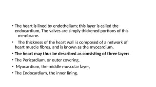 ANATOMY OF HEART BY DR. SADAKAT BASHIR.pptx