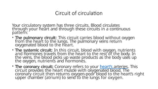 ANATOMY OF HEART BY DR. SADAKAT BASHIR.pptx