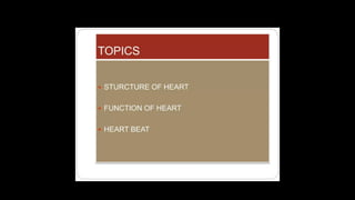 human anatomy ANATOMY OF HEART notes.pptx