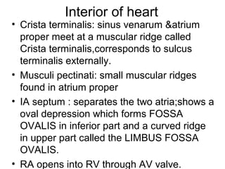 Anatomy of heart presenter dr.smita valani | PPT
