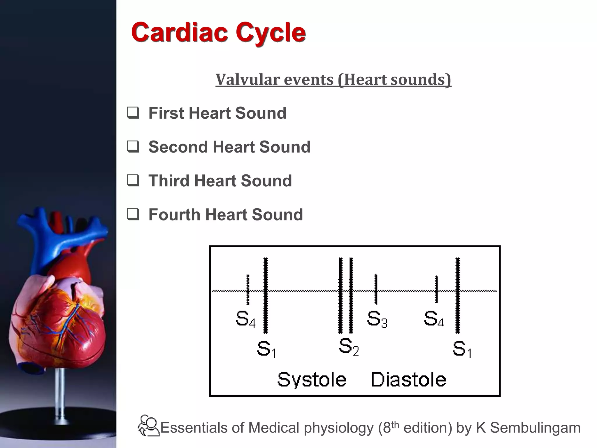 Anatomy of heart and physiology of cardiac cycle by simhahchalam | PPTX