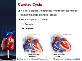 Anatomy of heart and physiology of cardiac cycle by simhahchalam | PPTX