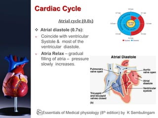 Anatomy of heart and physiology of cardiac cycle by simhahchalam | PPTX