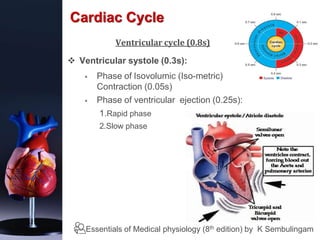 Anatomy of heart and physiology of cardiac cycle by simhahchalam | PPTX
