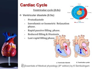 Anatomy of heart and physiology of cardiac cycle by simhahchalam | PPTX