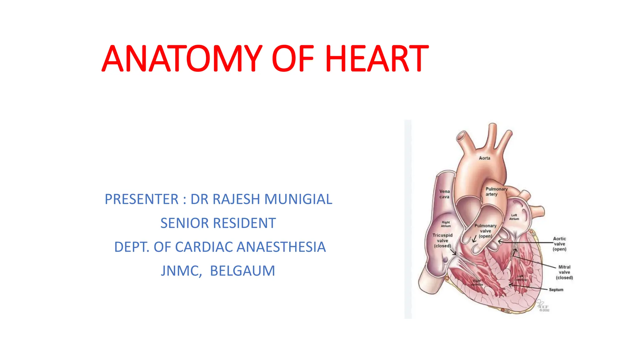 Anatomy of heart by dr rajesh-1.pptx