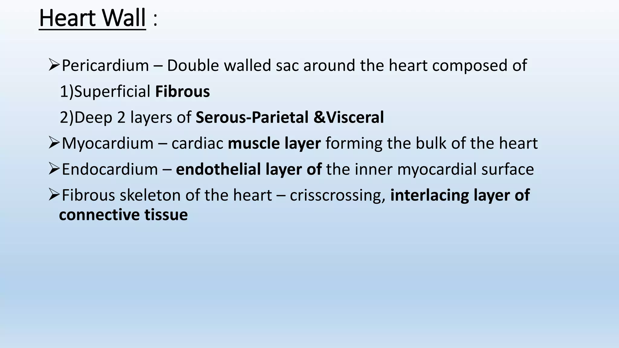 Anatomy of heart presentation | PPTX