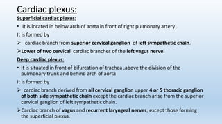 Anatomy of heart presentation | PPTX