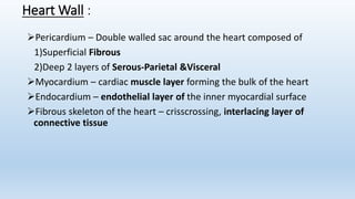 Anatomy of heart presentation | PPTX