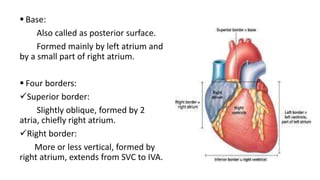 Anatomy of Heart - Dr. Sheetal R. Bankar.pptx