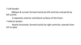 Anatomy of Heart - Dr. Sheetal R. Bankar.pptx