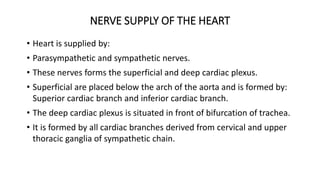 Anatomy of Heart - Dr. Sheetal R. Bankar.pptx