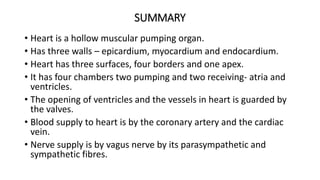 Anatomy of Heart - Dr. Sheetal R. Bankar.pptx