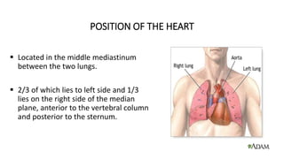 Anatomy of Heart - Dr. Sheetal R. Bankar.pptx