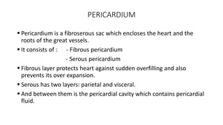 Anatomy of Heart - Dr. Sheetal R. Bankar.pptx