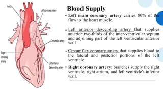 Anatomy of heart ,it's components and circulation | PPTX