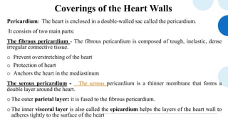 Anatomy of heart ,it's components and circulation | PPTX