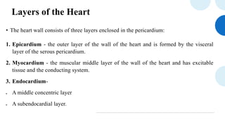 Anatomy of heart ,it's components and circulation | PPT