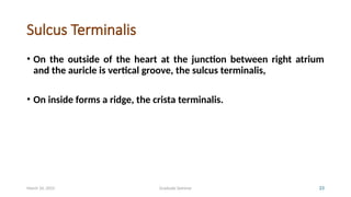 ANATOMY Of HEART anatomy snell anatomy book | PPTX
