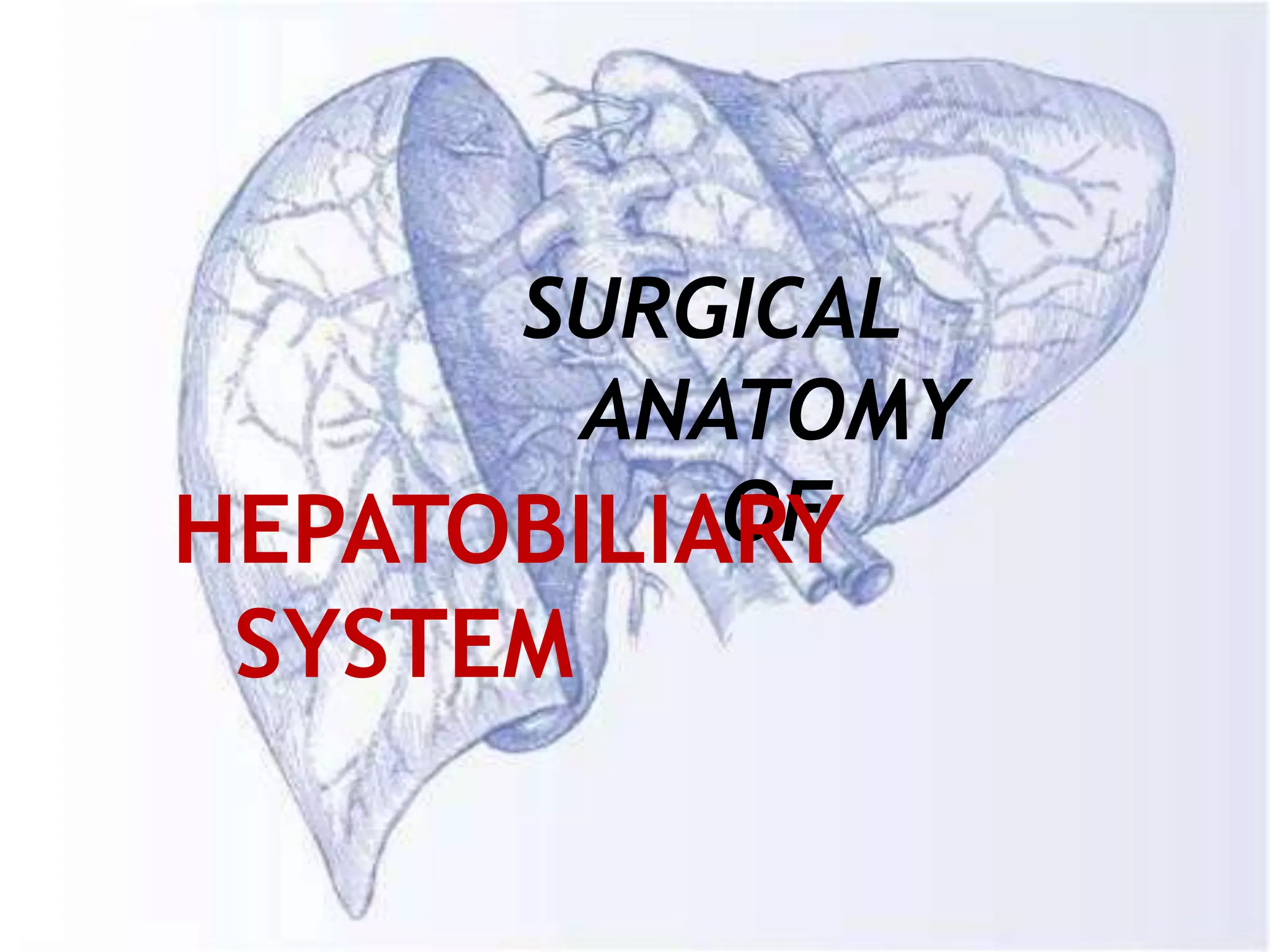 anatomy of hepatobiliary system.pptx