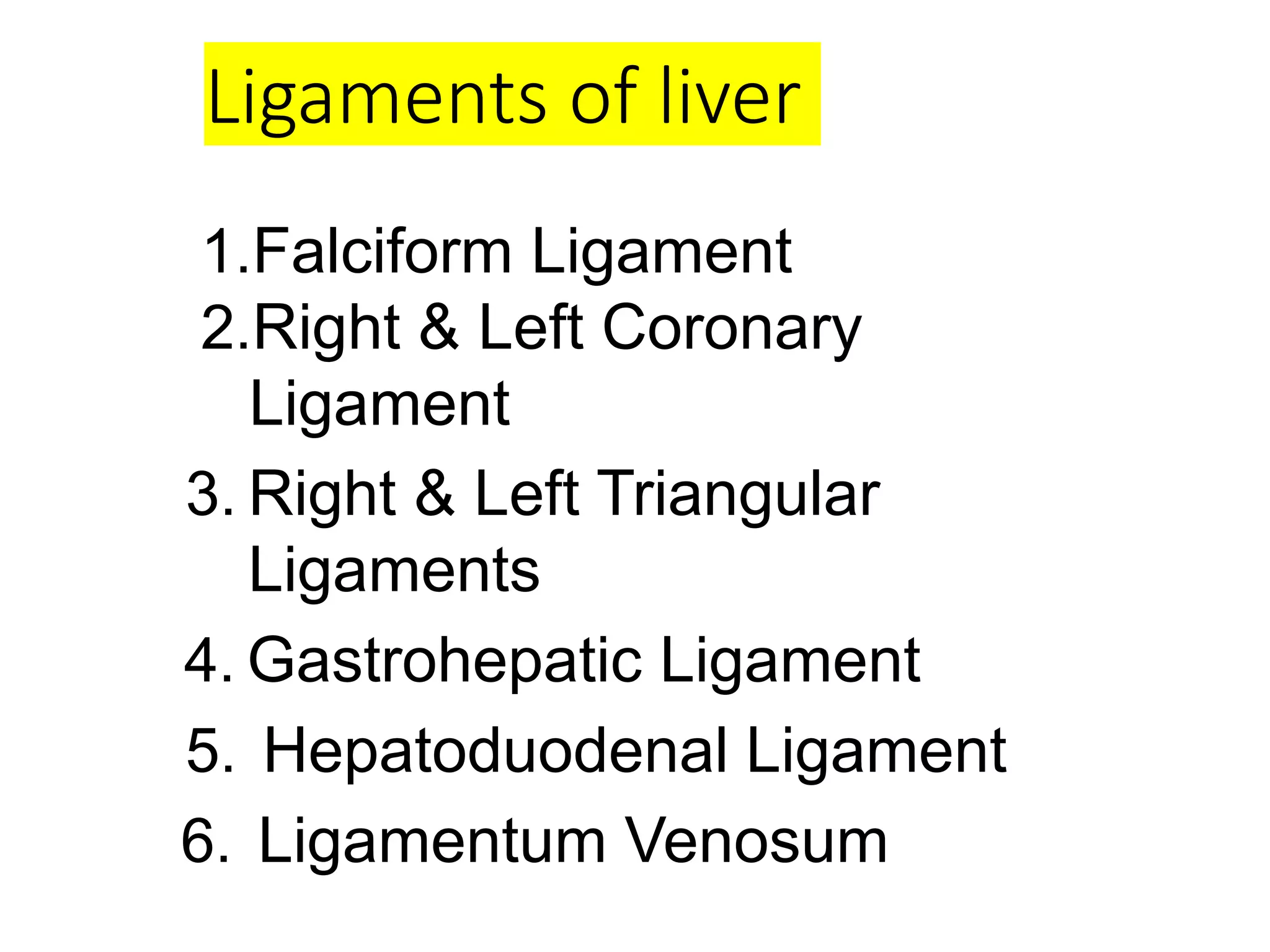 anatomy of hepatobiliary system.pptx