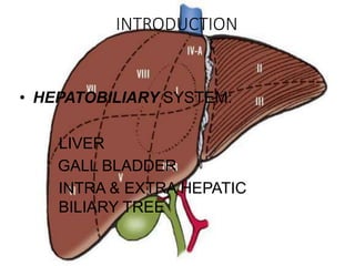 anatomy of hepatobiliary system.pptx