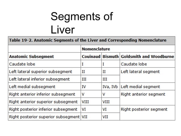 anatomy of hepatobiliary system.pptx