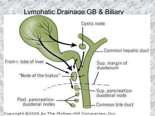 anatomy of hepatobiliary system.pptx