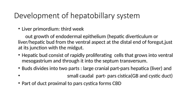 Anatomy of hepatobillary system dr avinash with cbd.pptx