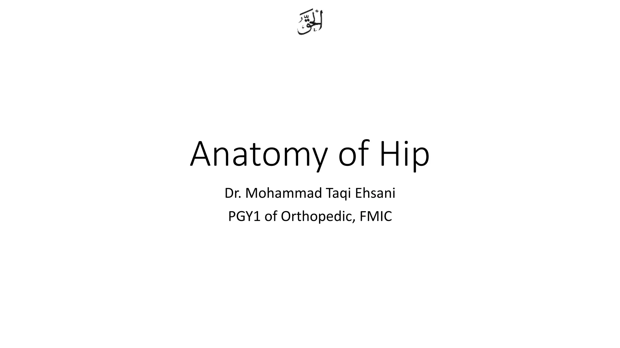 Anatomy Of The Hip Joint Pptx