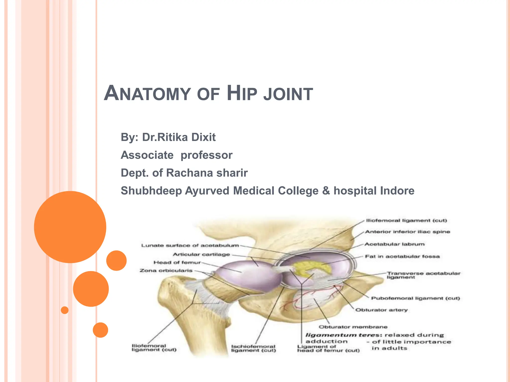 Anatomy of Hip joint.pptx