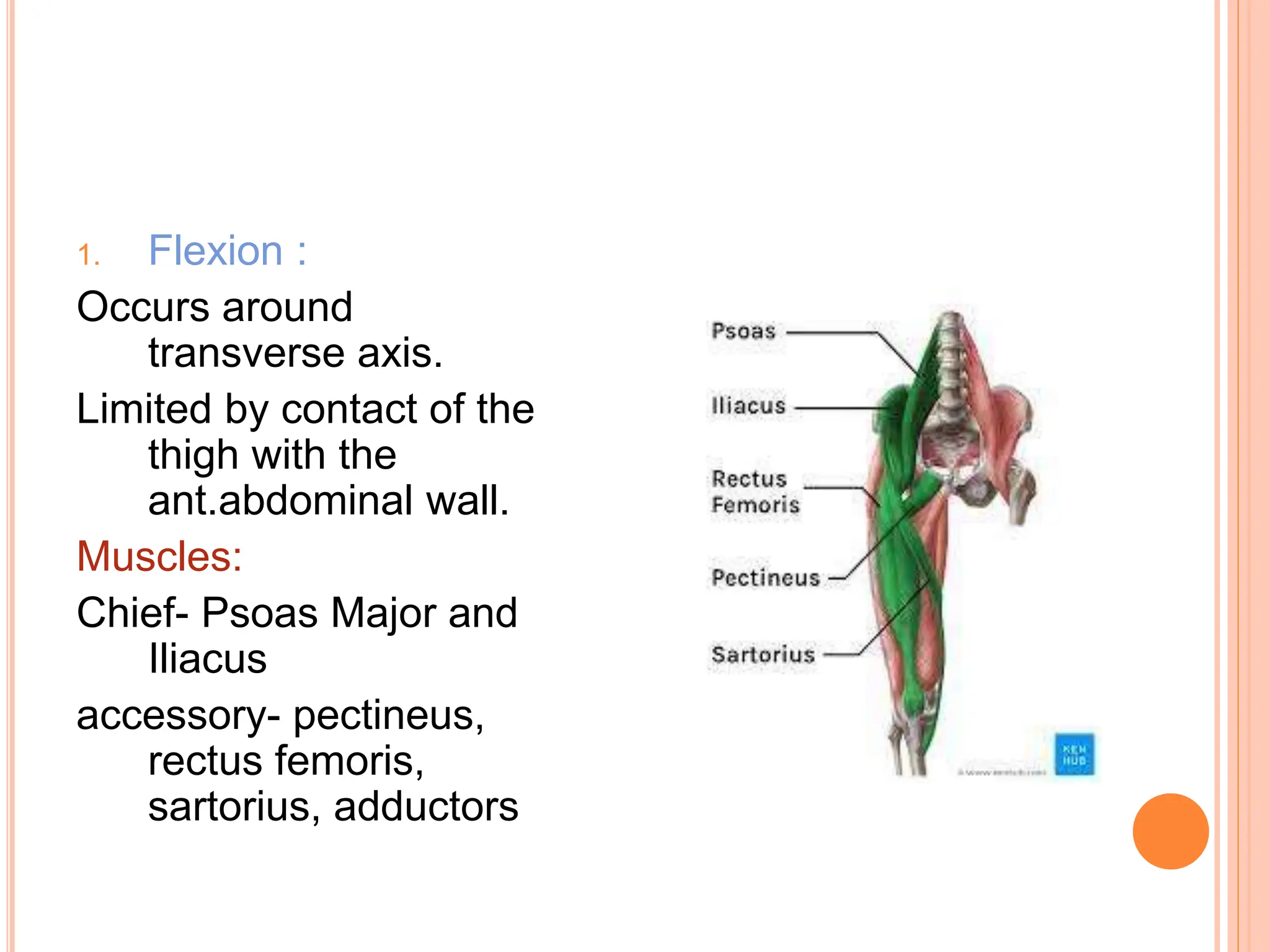 Anatomy of Hip joint.pptx