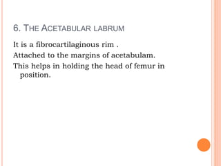 Anatomy of Hip joint.pptx
