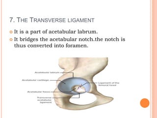 Anatomy of Hip joint.pptx