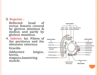 Anatomy of Hip joint.pptx