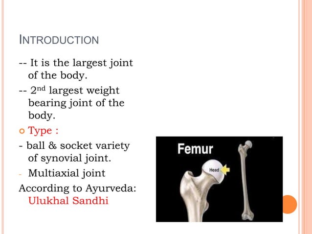 Anatomy of Hip joint.pptx