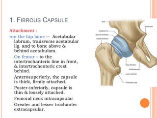 Anatomy of Hip joint.pptx