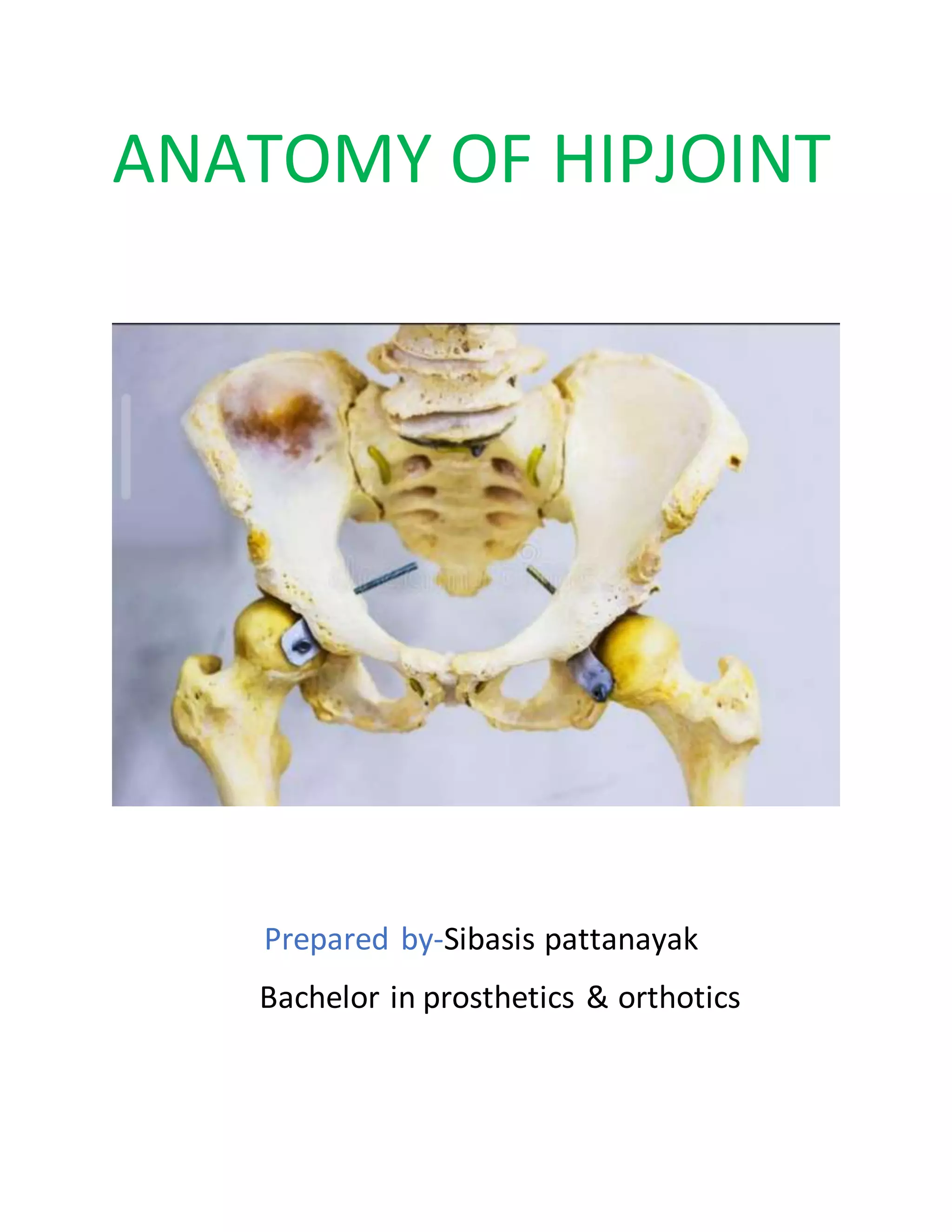 Anatomy of hip joint (1) | DOCX