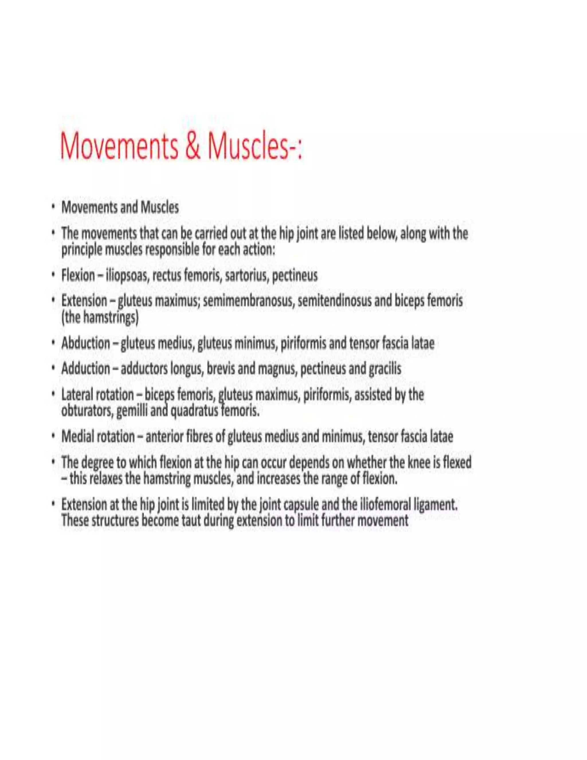 Anatomy of hip joint (1) | DOCX